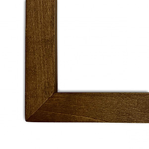 Ambesonne Loon Framed Wall Art, Antique Looking Drawing Illustration of a Northern Loon Animalistic, Fabric Decor with Teak Tone Wood Frame Home & Dorm Decor, 23" x 35", Dark Cocoa and White