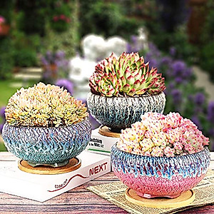 Summer Impressions 8 Inch Natural Cracking Round Ceramic Succulent Planter Pot with Drainge Hole and Saucer Cactus Clay Pot