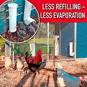 Royal Rooster Chicken Feeder and Waterer Set - Includes 1 Gallon Waterer with 2 Cups and 7lb Feeder for Chickens - Chicken Coop Accessories with Hanging Chicken Poultry Feeder and Chicken Waterer Kit