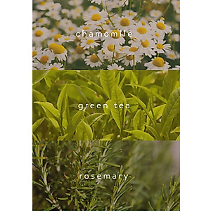 NOTHING FITS BUT Crème Belly Botaniceutical Maternity Herbal Vegan Cream for Stretch Marks Cream for Pregnancy with Rosemary, Green Tea and Chamomile Extracts (6.8 fl oz / 200ml)