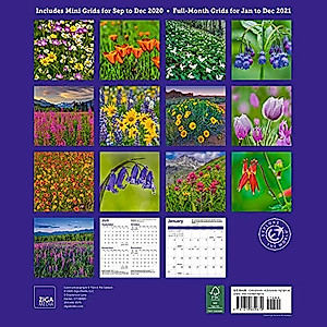 Wildflowers Wall Calendar 2021, Monthly January-December 12'' x 12"