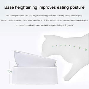Marchul Cat Bowls, Cat Food Bowls, Cat Dog Tilted Water and Food Bowl Set, Raised Cat Bowl for Small or Medium Size Dogs Cats