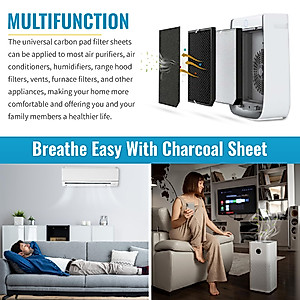 CFS – Pack of 2, Universal Cut-to-Fit Carbon Pre-Filter Compatible with C-6009, Hunter 30901, 30903, 30907 Models – Fresh and Filtered Air for Home Filtration – Charcoal Air Filter Sheet – 16" x 30"