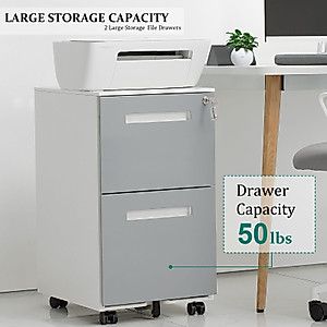 GOOGIC 2-Drawer Mobile File Cabinets, Rolling Metal Vertical Filing Cabinet for Legal & Letter File Anti-tilt Design with Lock Fully Assembled Except Casters, Gray&White(Style 3)