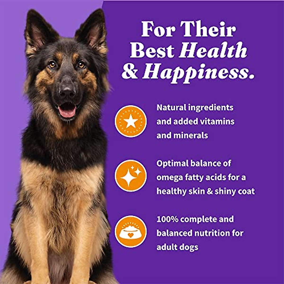 Halo Holistic Adult Dog Grain Free Cage-Free Chicken & Sweet Potato Recipe 21 lb Bag