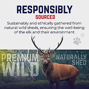 Devil Dog Pet Co. Split Elk Antlers for Dogs, 1 Pack, Medium 5”+, Grade A Long Lasting Dog Bones for Aggressive Chewers, Premium USA Naturally Shed Antler Dog Chew – No Odor, Dog Antler Chews