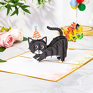 createreedo Cat Birthday Cards, cat pop up Cards pop up birthday cards for cat lovers, women, men,wife,husband,friends,kids etc.