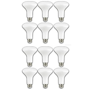 LED TECHNOLOGY EcoSmart 65-Watt Equivalent BR30 Dimmable LED Light Bulb Daylight (12-Pack)