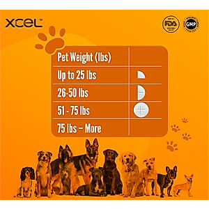 1000 mg Quarter Dosing Taurine Supplement with L Carnitine for Dogs, Supports Heart, Cardiovascular Health, Supports Eye Health