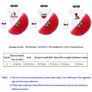 Newborn One Melon Baby Girl First Birthday Cake Smash Outfit Romper + Tutu Skirt/Shrots + Headband 3pcs Princess Formal Prom Clothing Set 0-3Months Clothes Playwear Red-My 1st Birthday 1T