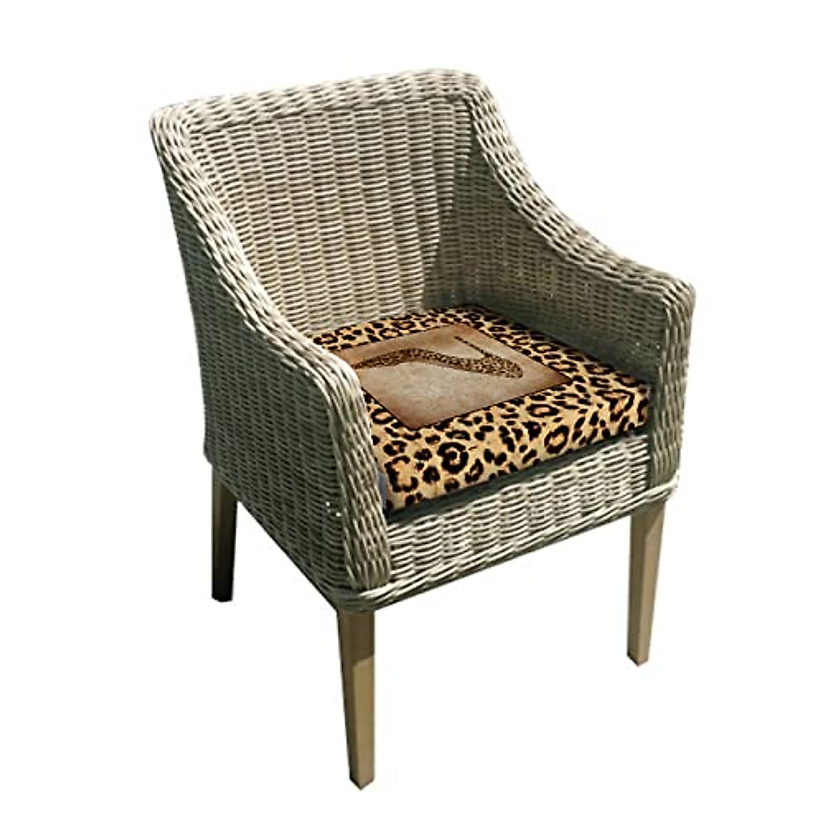 ZFUNCING 2 Pack Waterproof Patio Cushion Cover for Outdoor,Sexy Leopard High Heel Shoe Washable Replacement Covers Furniture Seat Slipcover for Couch Sofa Chair,Retro Wildlife Animal Skin,22x20in