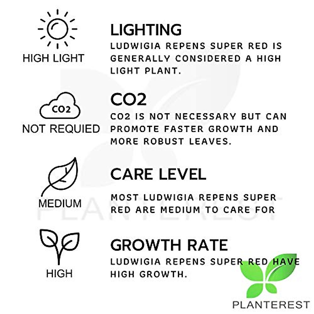 Planterest - Ludwigia Repens Rubin Super Red Ruby Bundle Live Aquarium Plant Stems Decorations BUY2GET1FREE