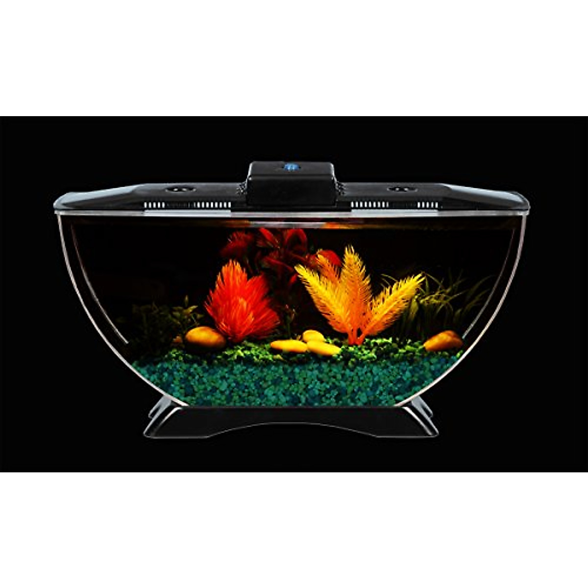 BettaTank 1-Gallon Deco Fish Tank with LED Lighting
