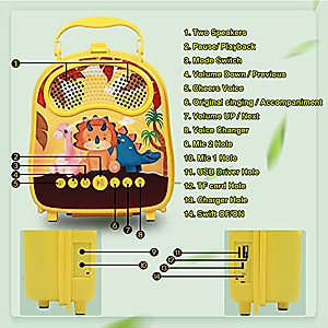 Kids Karaoke Machine for Boys Girls with 2 Microphone Singing Karaoke Machine Bluetooth Portable Speaker for Toddler with Voice Changer Kids Christmas Holiday Birthday Gifts