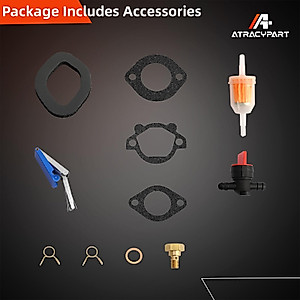 Carburetor Carb with Gaskets for Onan Cummins Generator & Microquiet 4000-Watt 4KYFA26100 4KYFA26100P 4KYFA26100K Replace# A042P619, A041D736, 146-0785