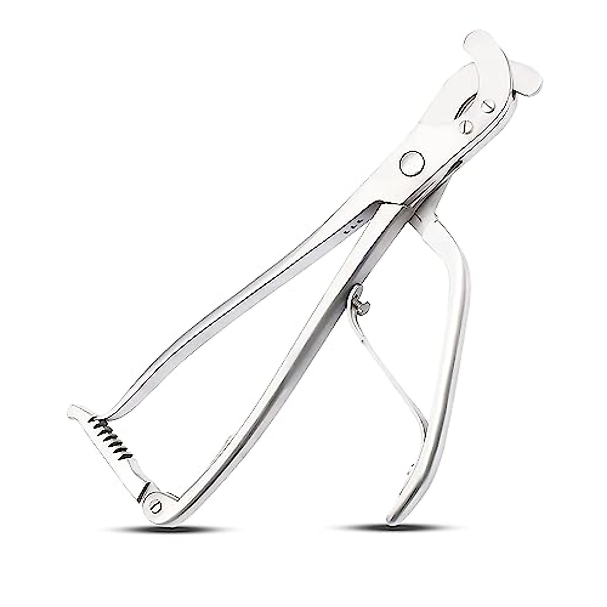 OdontoMed2011 REIMERS Emasculator 33CM, Castration, Large Animals,Horse, Cattle,Bulls ODM