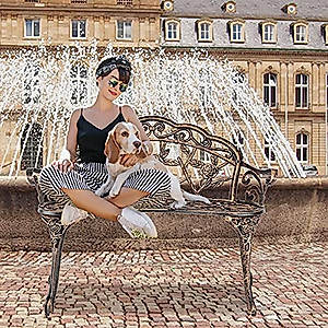 JOYBASE Outdoor Bench, Metal Patio Bench, Cast Iron Bench, Porch Bench, Cast Aluminum Bench, Garden Bench, Bronze