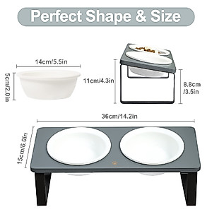 Sunhoo Ceramic Elevated Cat Bowls, Raised Puppy Dishes for Food and Water, Tilted Bamboo Stand for Anti Vomiting, Indoor 5.5 inch Wide Double Dish Orthopedic Anti-Vomiting (Grey)