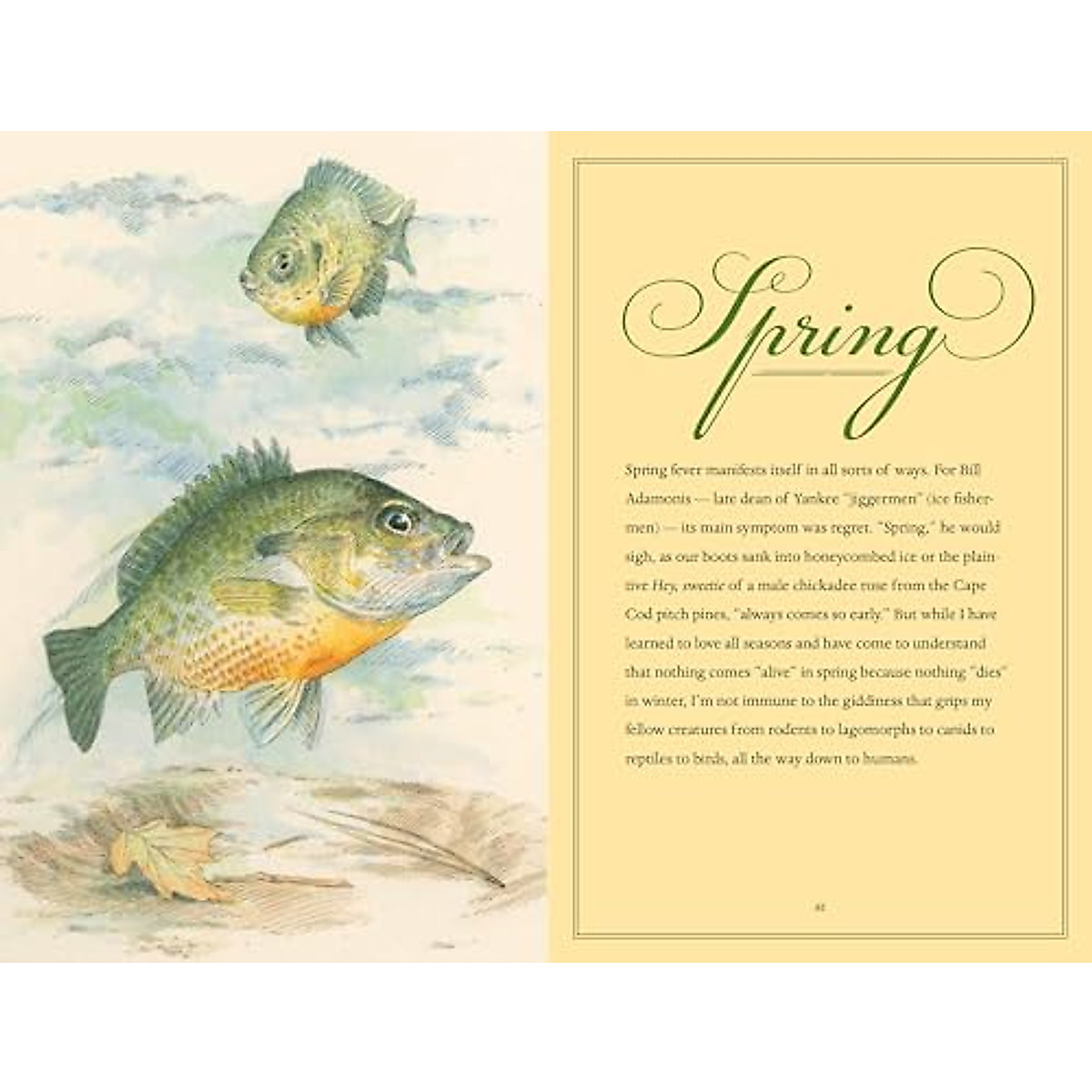 Earth Almanac: A Year of Witnessing the Wild, from the Call of the Loon to the Journey of the Gray Whale