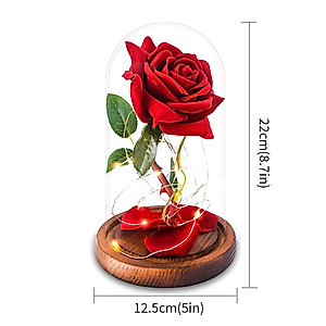AGGUT Beauty and The Beast Rose,Forever Rose,Artificial Flower Gift Romantic Red Silk Rose,Flower in Glass Dome Women Gifts for Her,Wife,Mom,Valentines,Anniversary
