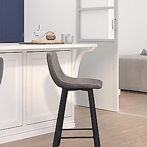 Flash Furniture Caleb Modern Armless 24 Inch Counter Height Stools Commercial Grade with Footrests and Matte Metal Frames, Set of 2