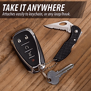 Maxam Falcon IV Lockback EDC Serrated Stainless Steel Knife, Small Folding Knife, Blade Length 1 7/8 Inch