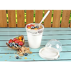 DGRS MARKET 4 Pack 20 oz Breakfast Cereal On the Go Cups with Spoon- Portable Take'n Go Yogurt and Cereal Container Cup with Top Lids- Take and Go Yogurt- Milk- Snack- Fruit Cup for Travel (4- Mix)