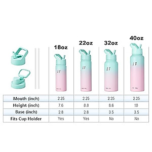 SUNWILL Insulated Water Bottle with Straw 32oz, Stainless Steel Water Bottles for Sports, Travel & Gym, Wide Mouth Flask with 2 Lids (Straw & Spout Lid), Leak Proof BPA Free Thermal Canteen