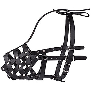 CollarDirect Dog Muzzle German Shepherd Dalmatian Doberman Setter Leather Basket Medium Large Breeds Black Brown (L, Black)