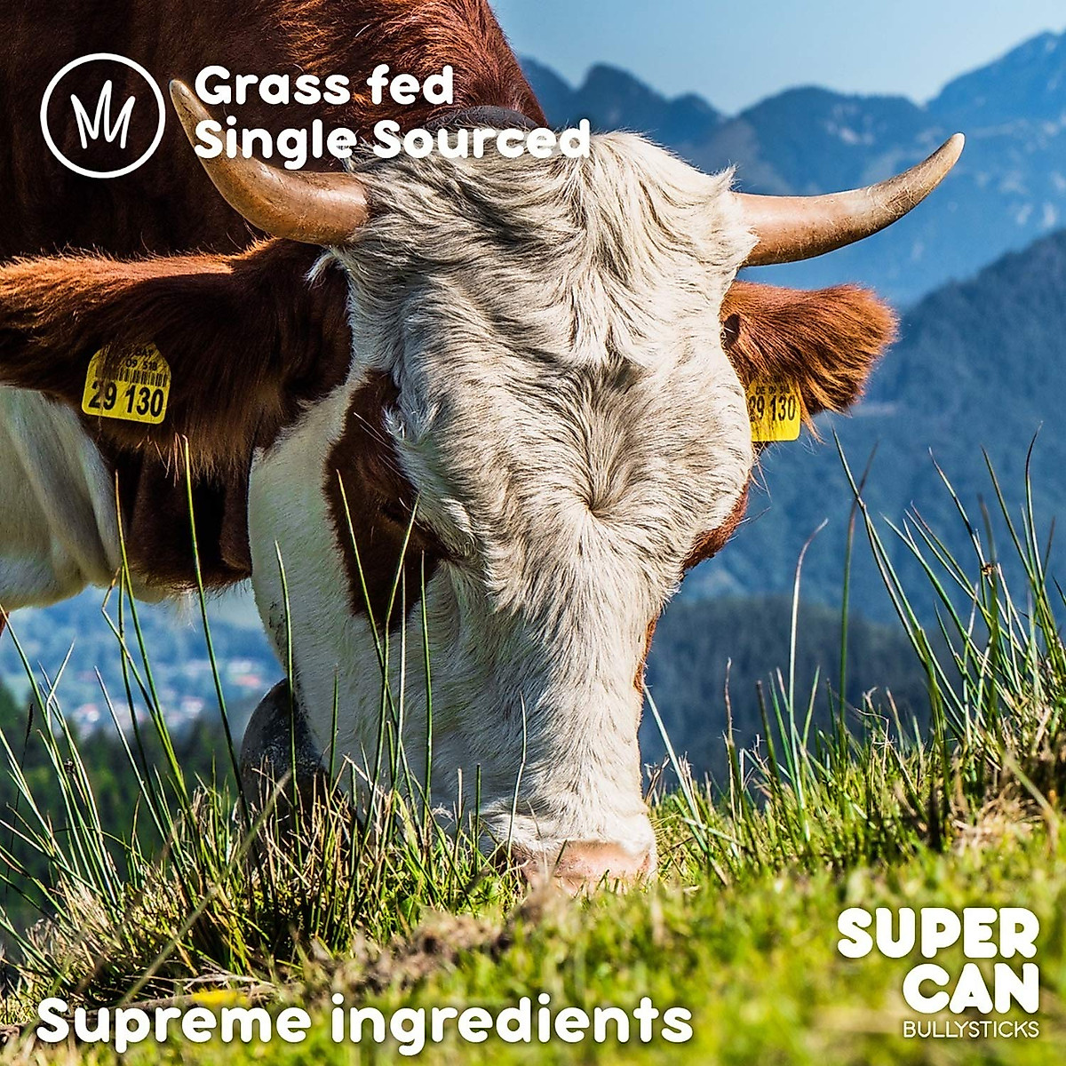 SUPER CAN BULLYSTICKS Beef Trachea Dog Chews 6'' (10 Count) | 100% Natural Farm Raised Beef Dental Treats | Non-GMO Chews for Puppies and Adult Dogs