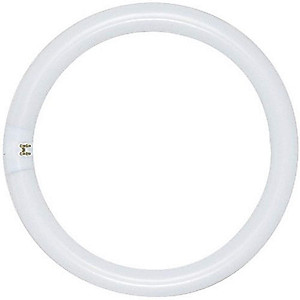 Satco S6506 4100K 40-Watt 4 Pin T9 Circline Lamp, Cool White