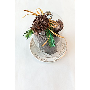 Cricut 3D Floral Home Decor Cartridge