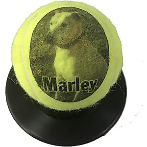 Custom Personalized Tennis Ball without Base