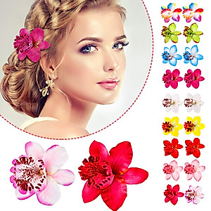 Canlierr 20 Pcs Women's Bohemian Orchid Flower Hair Clips - Multicolor Alligator and Big Double Hair Pins (Modern Colors, Stylish Style)