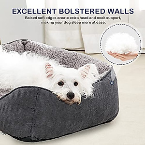 Siooko Small Dog Beds for Small Dogs Machine Washable Rectangle Puppy Bed with Anti-Slip Bottom, Soft Sleeping Pet Bed Durable (20'', Grey)