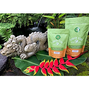 100% Kona Coffee – Whole Bean, Medium roast, Single estate gourmet coffee, 16 ounces, Farm fresh roasted from Domain Kona Coffee