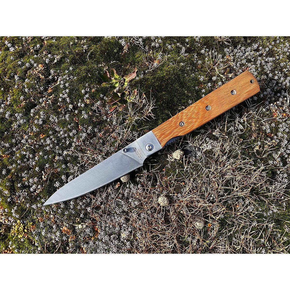Herbertz Germany Extremely Sharp Pocket Folding Kitchen Chef Knife Paring Utility Knife Natural Rosewood 440 Stainless Steel Japanese Style