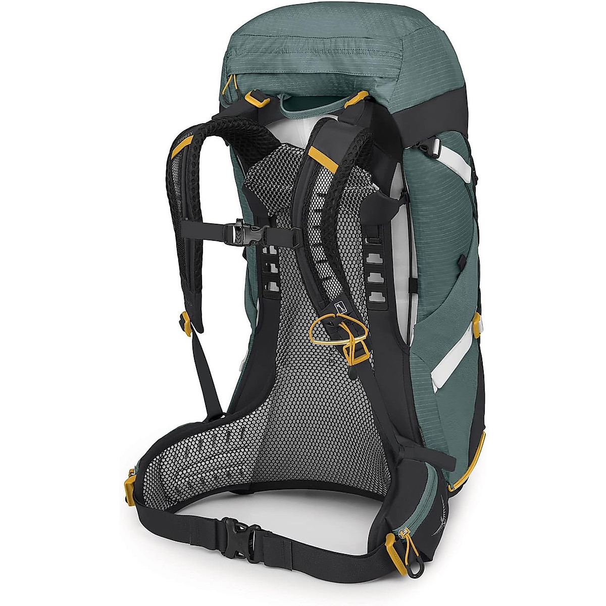 Osprey Sirrus 36 Women's Hiking Backpack, Succulent Green