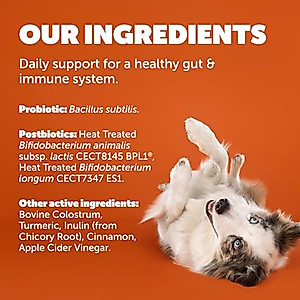 Protexin Daily Care Gut+ Immunity, 60 probiotic and postbiotic Dog Supplement Chews – Turkey and Cranberry Flavored