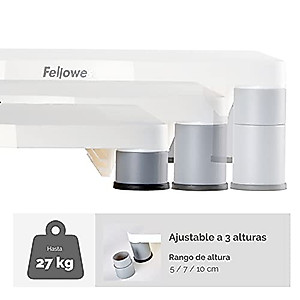 Fellowes Standard Monitor Riser (91712), Platinum/Graphite