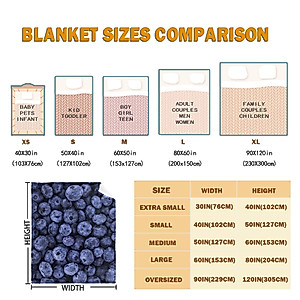 Blueberry Throw Blanket 3D Food Blanket for Girls Boys Kids Soft Cozy Fleece Funny Food Blanket for Bed Couch Sofa Chairs—All Season Small 50"x40"(Throw) Kid