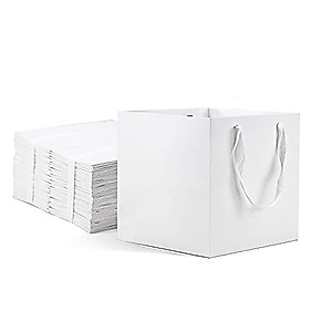 HUAPRINT White Paper Bags with handles,Gift Bags Bulk 24 Pack,10x10x10inch Square Size Large,Paper Shopping Bags, Kraft, Party, Birthday,Favor, Goody, Take-Out, Merchandise, Retail Bags