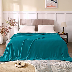 BEDELITE Fleece Blanket King Size Blankets for Bed, Luxury Plush Cozy Fuzzy Blanket 108x90 inches, Super Soft Warm Lightweight Throw Blanket All Seasons Suitable, Bluebird