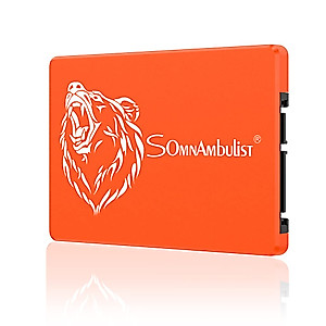 Somnambulist sata3 ssd 120gb 240gb 480gb 960gb 2.5 inch Hard Drive sata3 HDD ssd Laptop 2tb Solid State dr (Orange Bear 960GB)