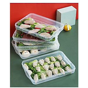 TIAN CHEN Food Refrigerator Storage Containers with 2 Lids, 4 Layer, Stackable Handheld Carrier for Snack, Cookie, Meat, Bacon, Charcuterie, BPA Free (Transparent 4 tier)