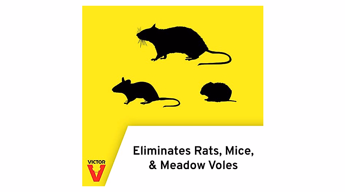 Victor M925 Ready-to-Use Rodent Poison Killer - Effective Pest Control