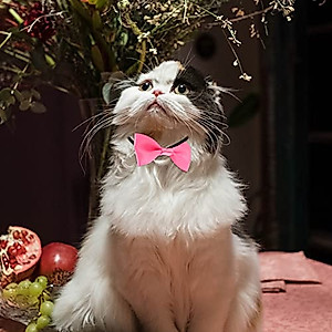 balacoo Small Pet Bowtie Hamster Hat and Bowtie Guinea Pig Black Cap Bow Tie Cool Pet Small Animal Outfit Cosplay Suit for Rats Sugar Glider Chinchilla Ferret Hedgehogs Hamster Top Hat