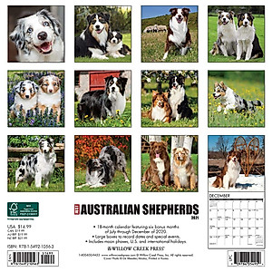 Just Australian Shepherds 2021 Wall Calendar (Dog Breed Calendar)