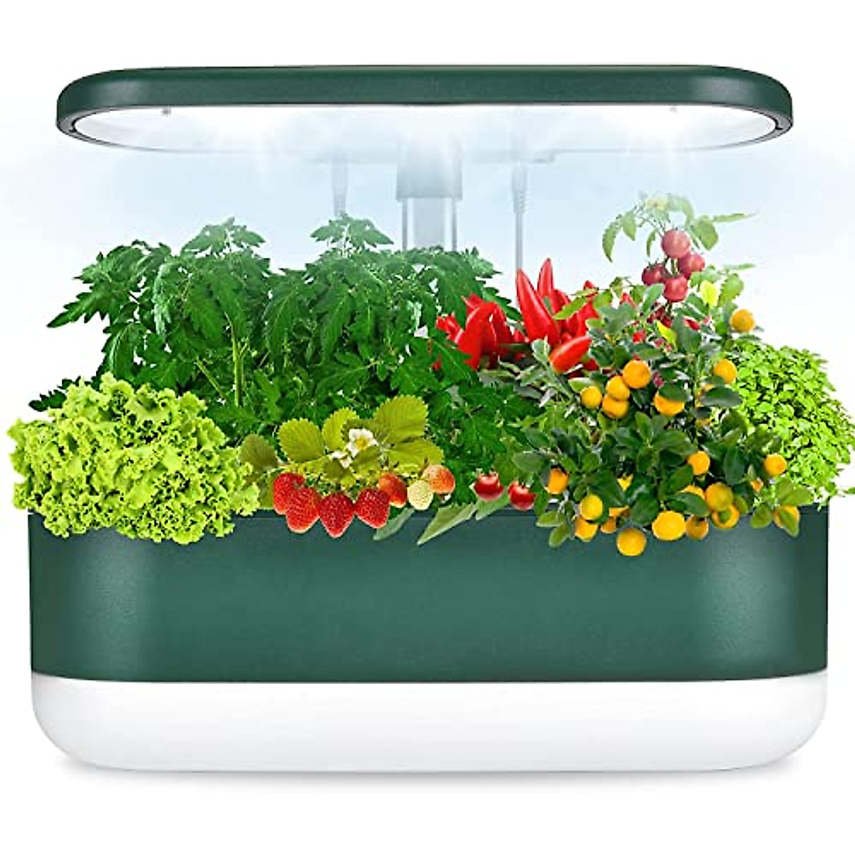 Hydroponics Growing System, 10 Pods Indoor Gardening System with 24W Full Spectrum Grow Light, Automatic Timer Pump,Height Adjustable(7''-15''),4.2L Water Tank Indoor Growing System for Patio Kitchen