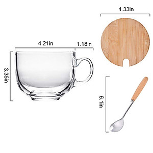 Aoderun Large Glass Coffee Mugs 15oz Ins Style Glass Cups With Lids Spoon, for Cappuccino, Coffee Latte Cereal Ice Cream Mike Dishwasher and Microwave Safe (Premium Tempered Glass)